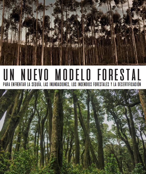 Nuevo Modelo de Desarrollo | Heinrich Böll Stiftung - Santiago de Chile ...